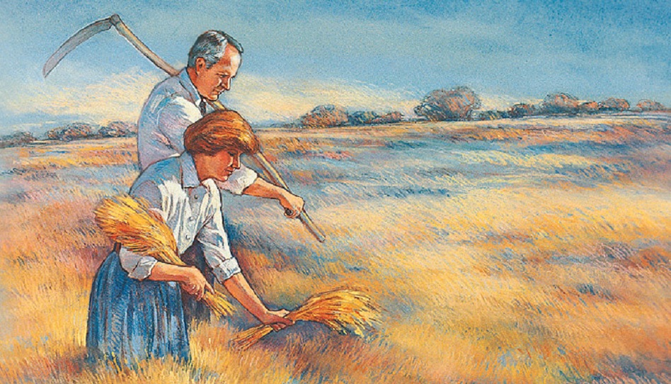 Ernte | mehrglaube.de